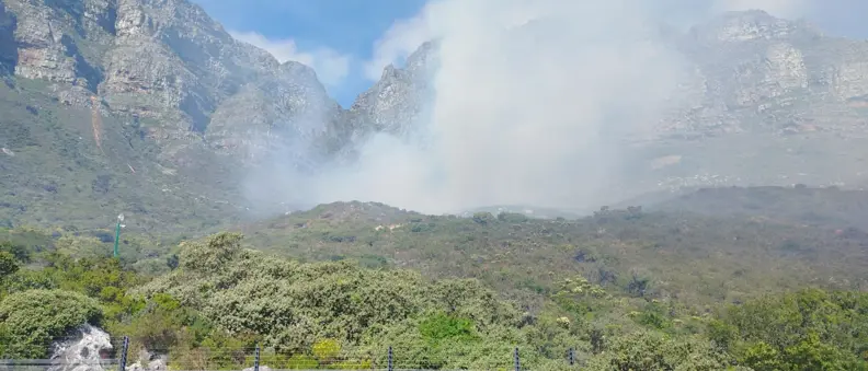 Firoz Cachalia sworn in as acting minister of police