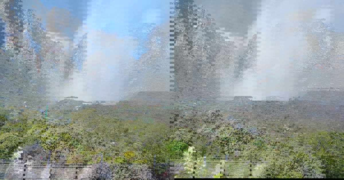 Firefighters worried wind could spread Camps Bay fire towards urban areas