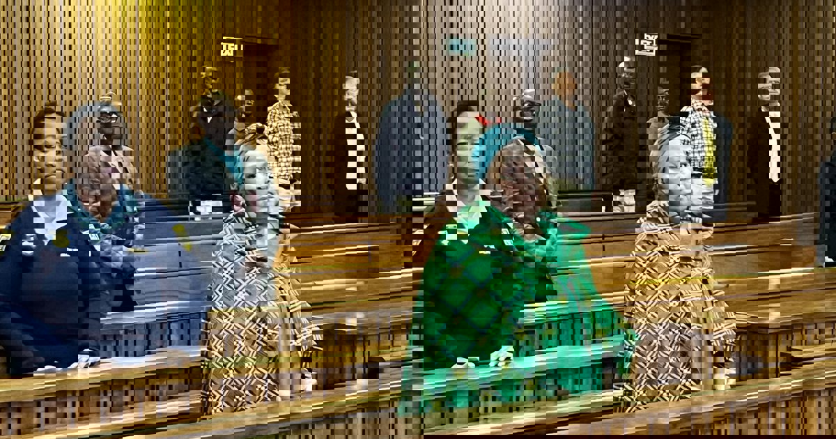 Court to rule on Mapisa-Nqakula's bid to access investigation diary in corruption case