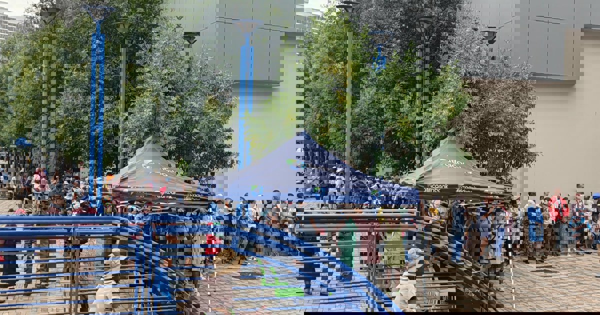 Postbank, SASSA working to clear backlog of 2.4 million grant ...