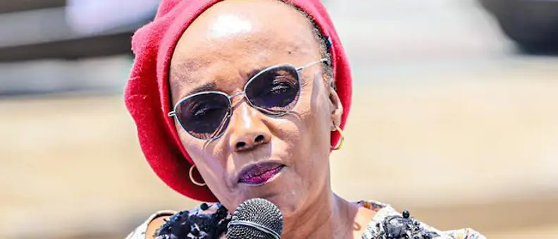EWN | Sindisiwe Chikunga