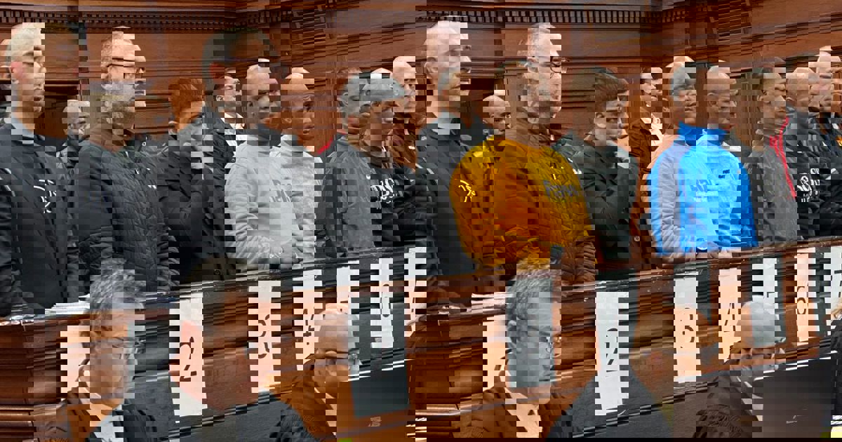 Court proceedings against Nafiz Modack and co-accused put on hold