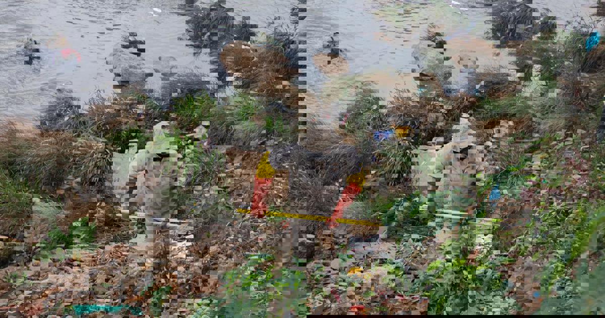 Alexandra community turns trash into art