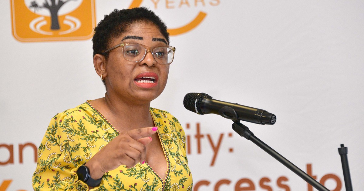 GNU parties can’t implement own policies without Cabinet approval, says ...