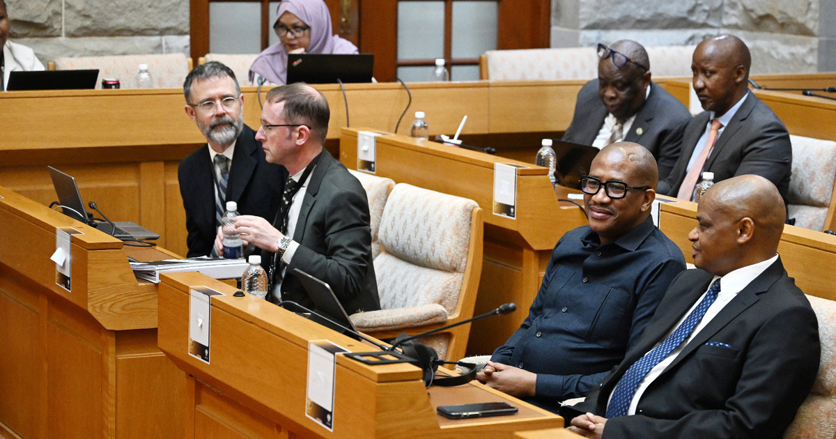 Companies implicated in SIU COVID-19 investigation still doing business ...