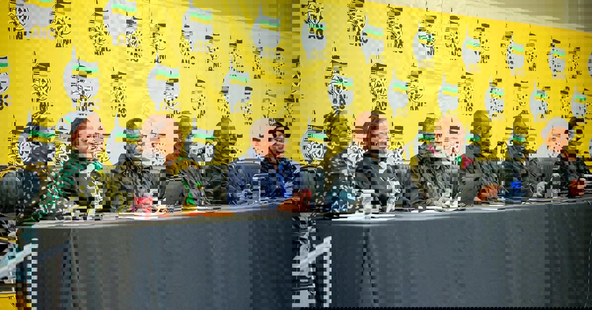 Andile Lungisa calls for disbandment of ANC NEC