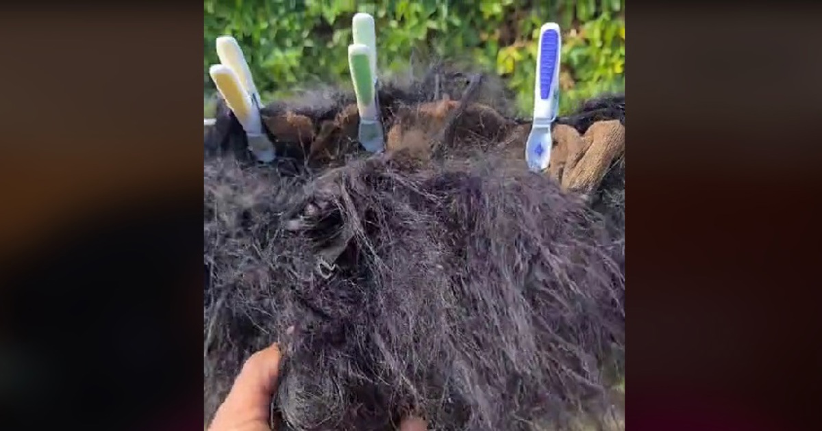 WATCH: Mother-in-law puts daughter-in-law's wig in washing machine