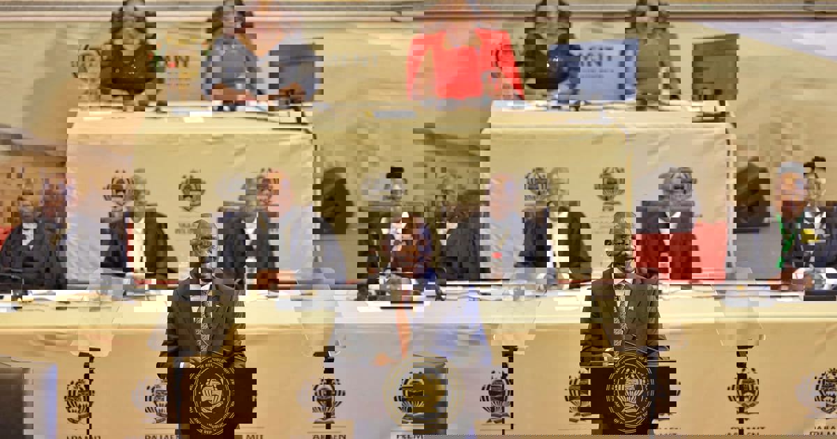 GNU parties praise Ramaphosa's response to Trump's land grab claims