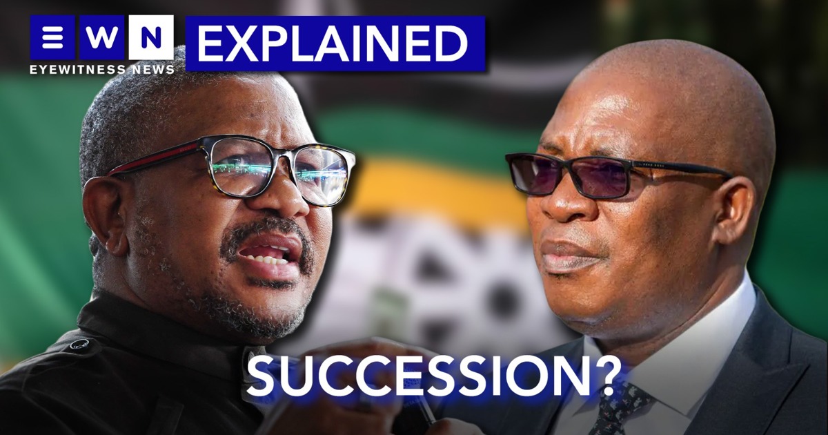 TSHIDI MADIA EXPLAINS: Is a battle for succession looming in the ANC?