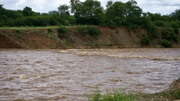 Weather service warns of continued heavy rain across Mpumalanga and Limpopo