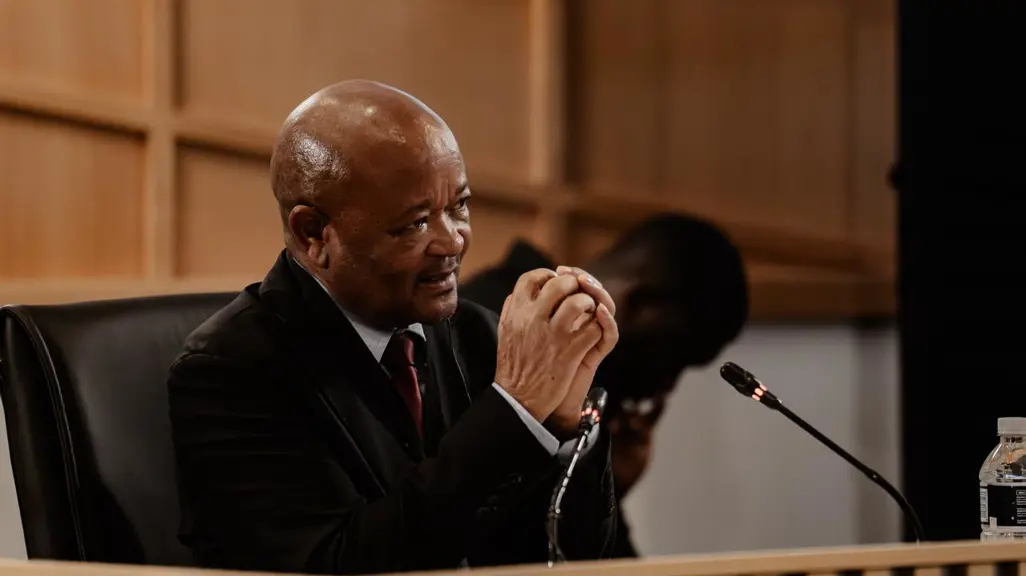 Mchunu tells Madlanga Commission decision to disband PKTT was fueled by ...