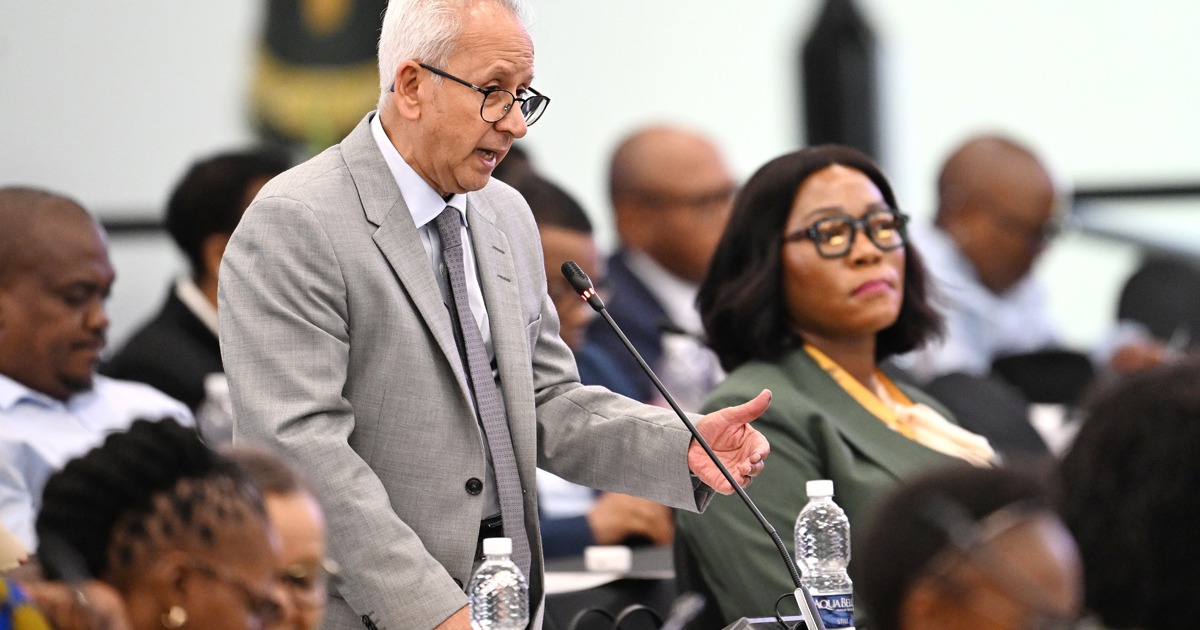 Cachalia to appoint interim body to restore credibility of SAPS