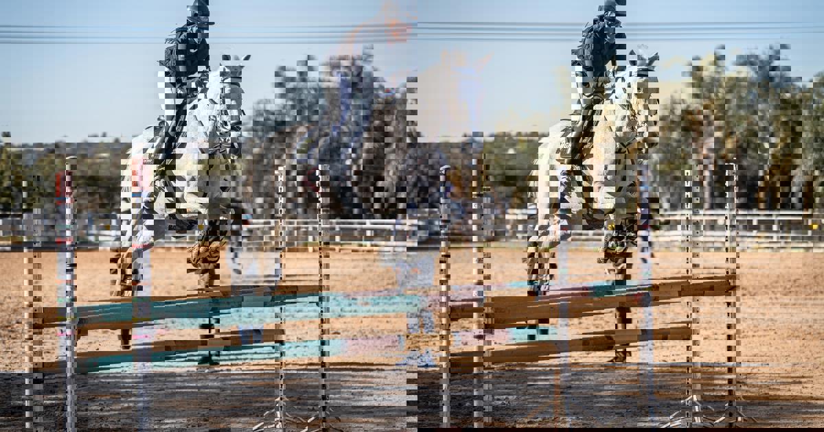 'The horse finds you' - show jumping prodigy Felicity Theunissen