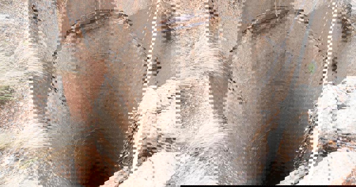 Stilfontein illegal miners: 'We are dying by the hour'