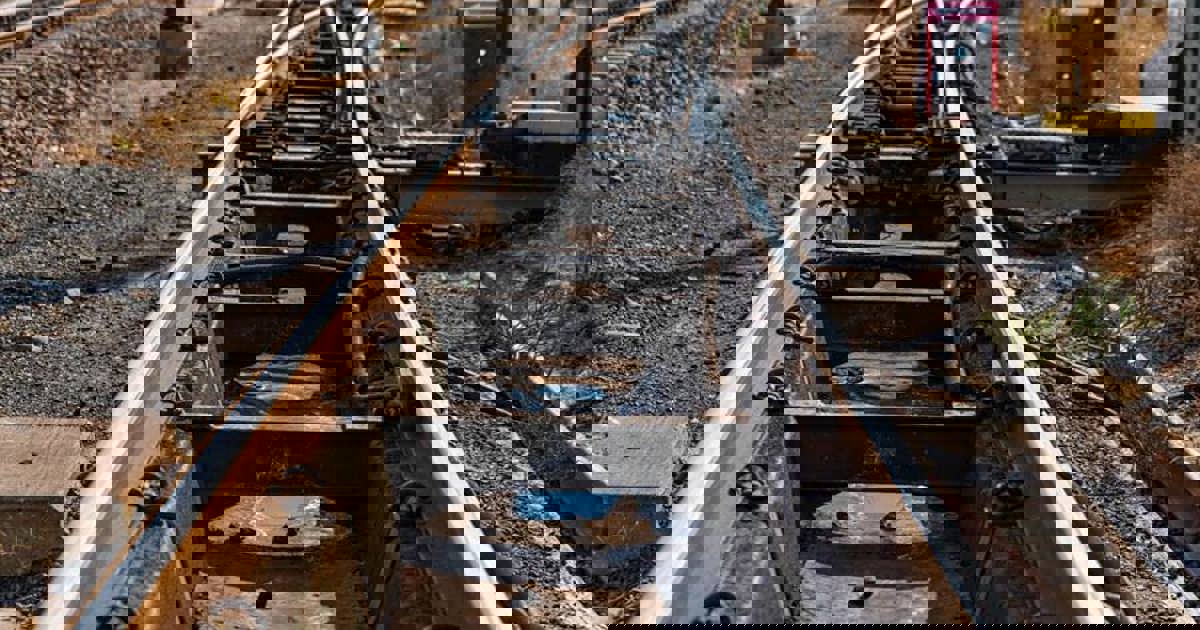 Transnet grants 11 train operating companies access to its rail system