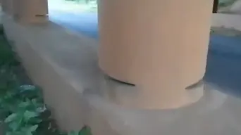 City of Tshwane: President Steyn Bridge pillars are structurally sound