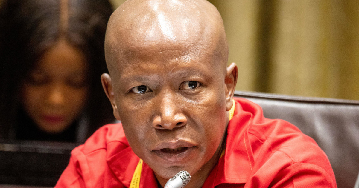 Malema's millions: New book a jaw-dropping exposé of power, patronage ...