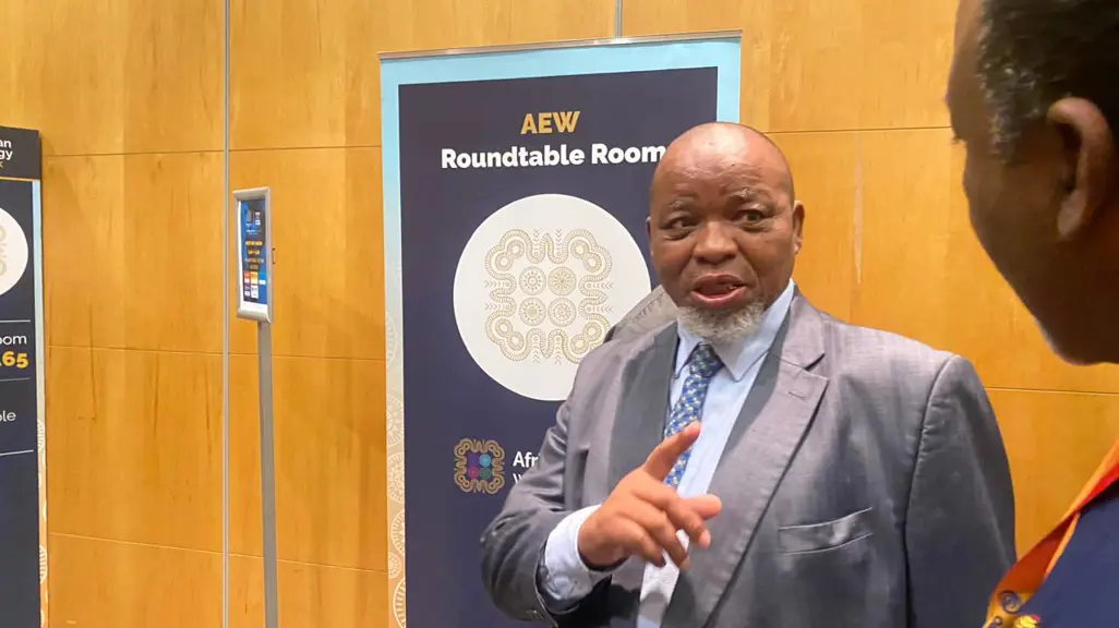 ActionSA slams DMR’s nearly R2m spend on overseas trips