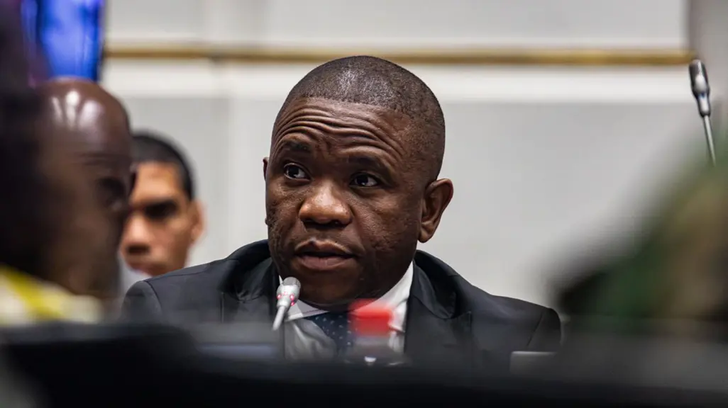 Mkhwanazi tells Ad Hoc Committee that only police can guarantee his ...