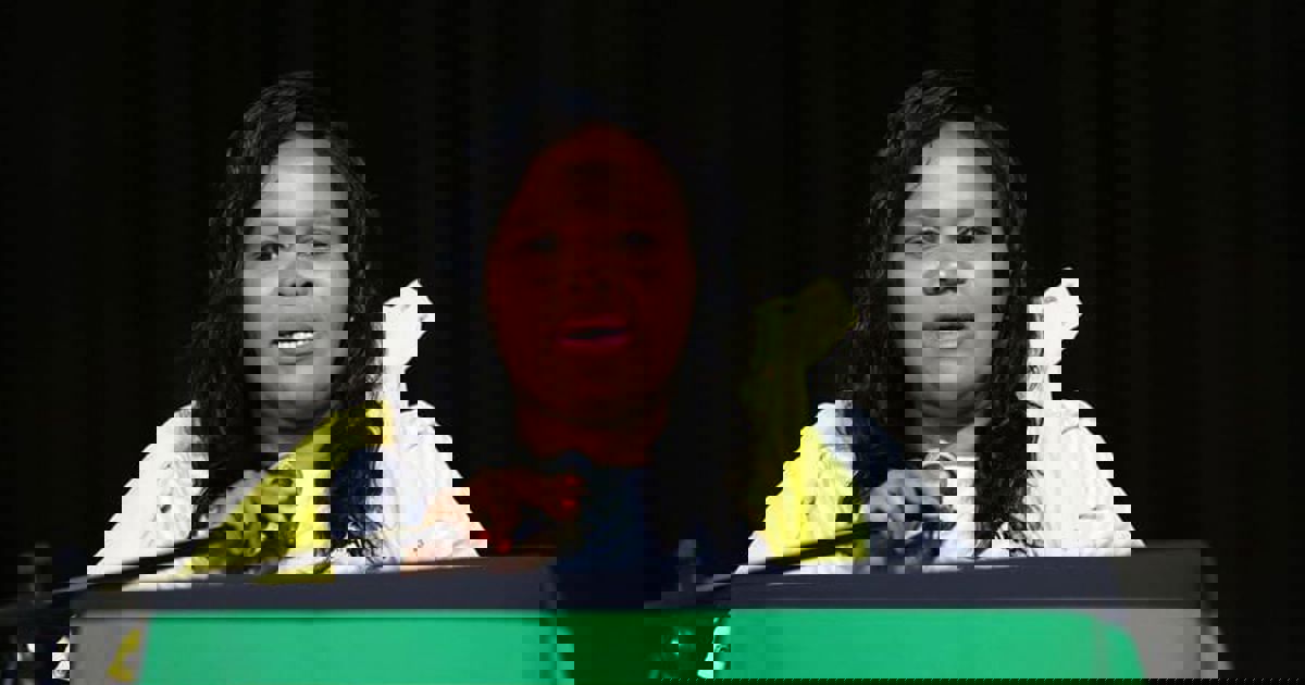 ANC's Babalwa Lobishe elected new Nelson Mandela Bay Municipality mayor