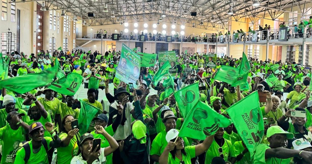 PA snatches two George wards from DA in latest by-elections