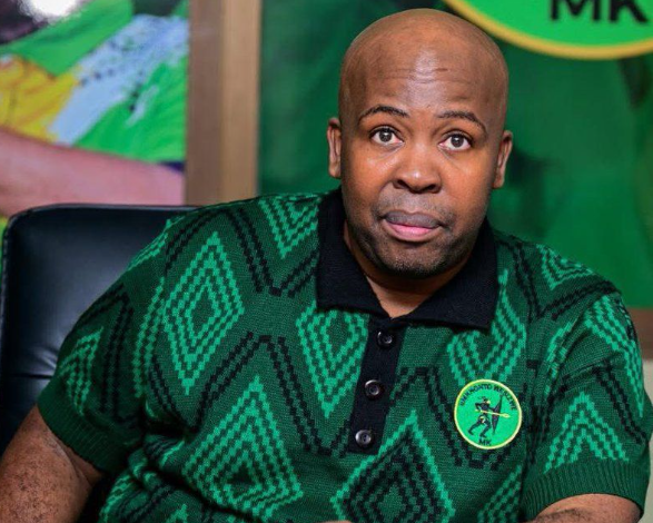 MK Party’s Magasela Mzobe steps down as head of Presidency