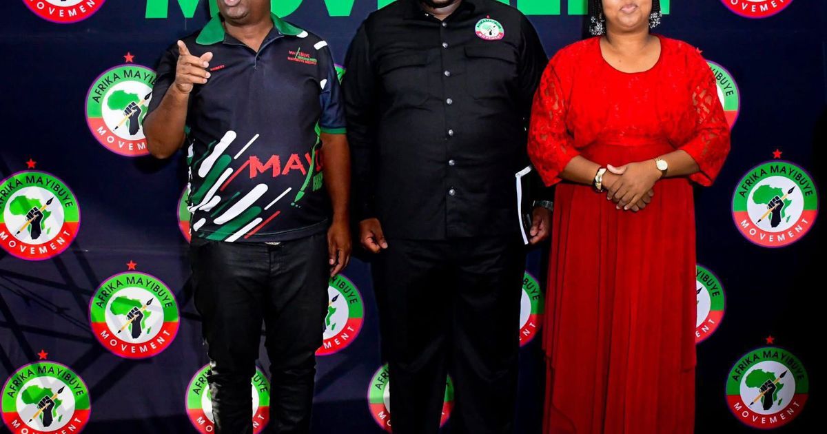 Nwedo to detail reasons for quitting Afrika Mayibuye Movement next week