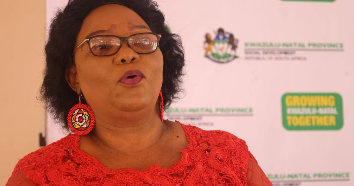 KZN Social Development MEC Shinga escapes car crash unharmed