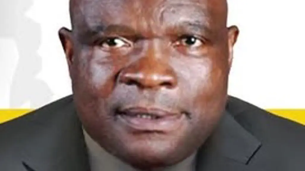 2 men accused of killing IFP MP argued over who should take the shot