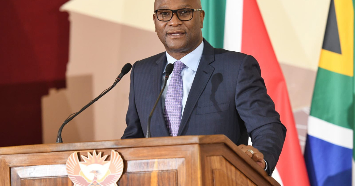 One cop represented SA in France to probe Mthethwa's death: SAPS