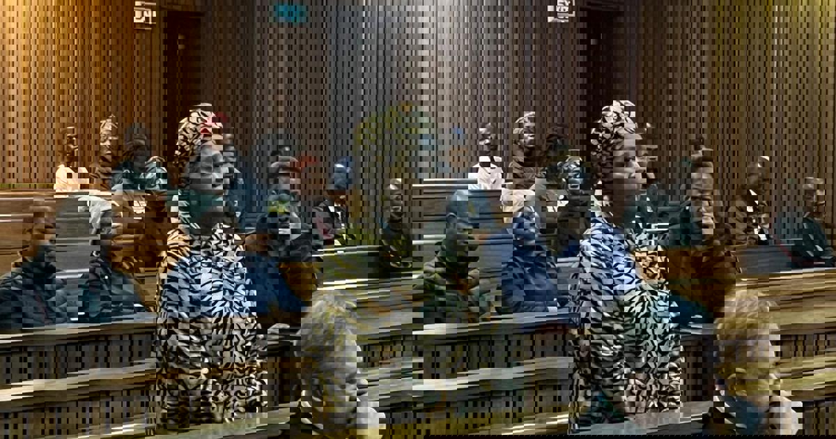 Judge in Mapisa-Nqakula's corruption matter unhappy with progress of case