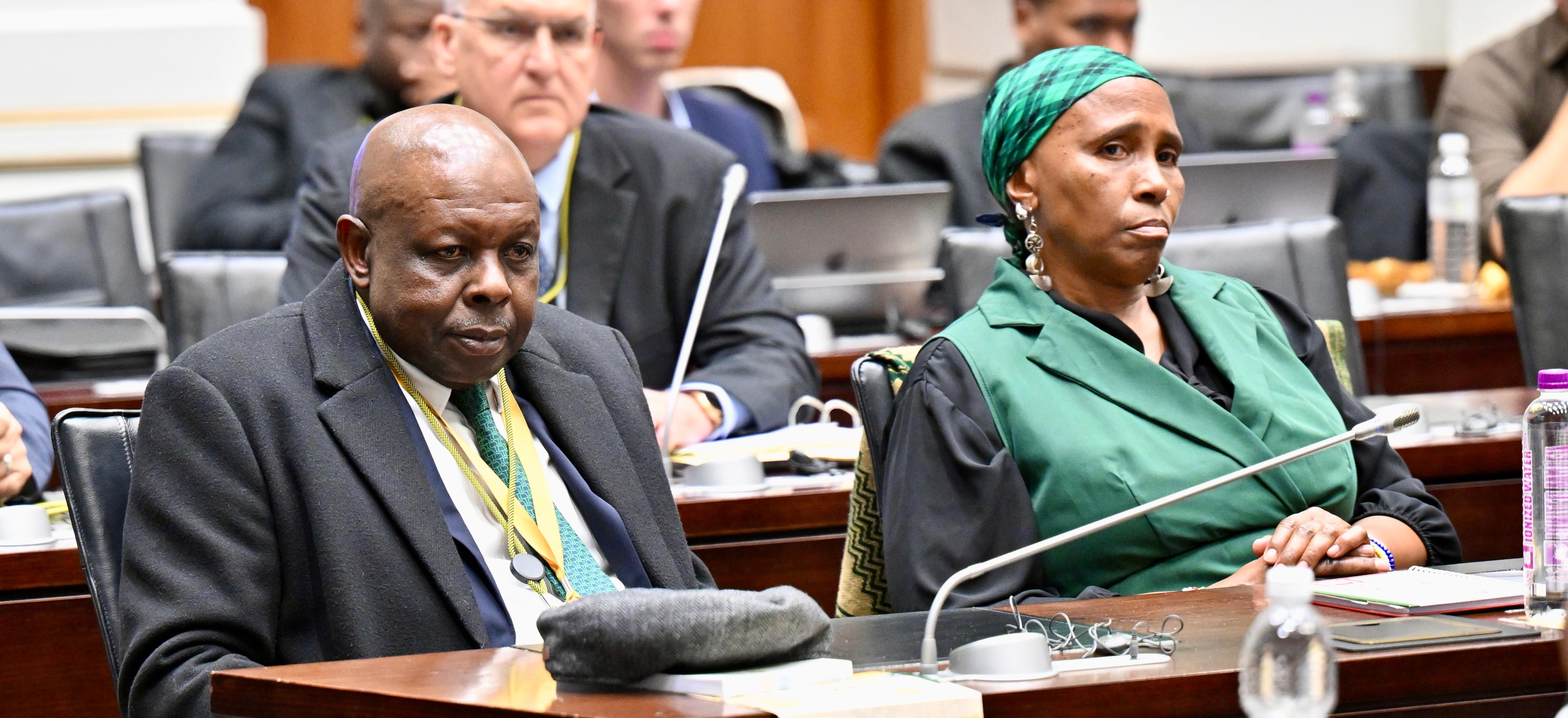 Shivambu announces Mayibuye leadership committee comprising former MK ...