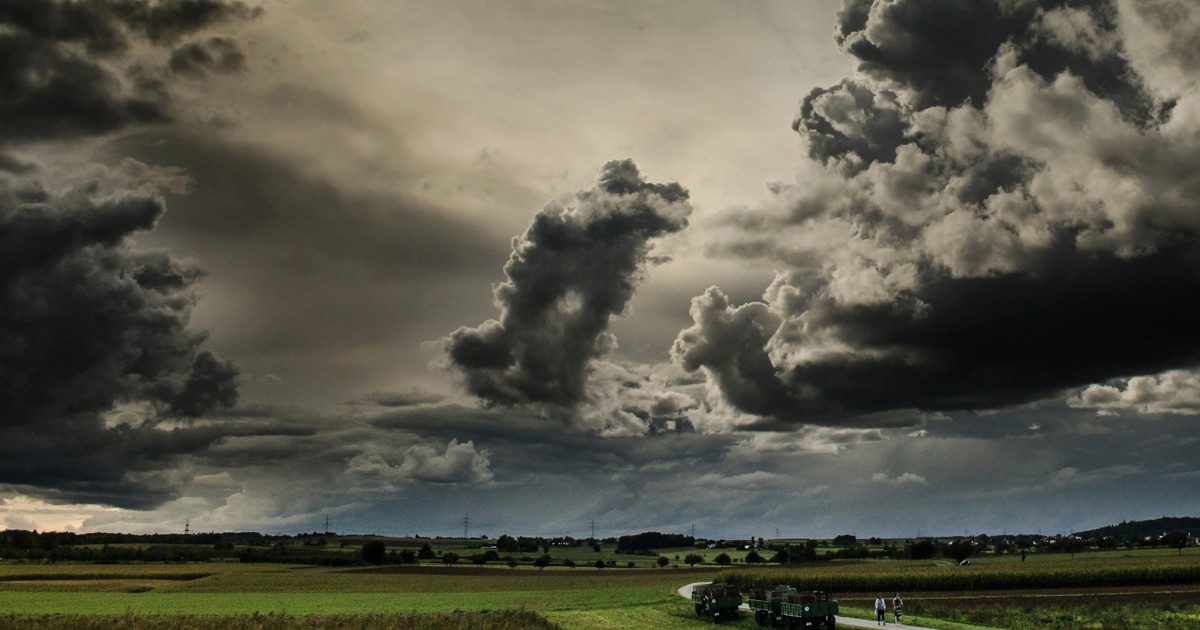 Agri Western Cape says while inclement weather may be damaging, rain is ...