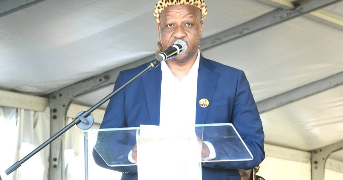 Ntuli makes call to KZN leaders to champion campaigns against GBV