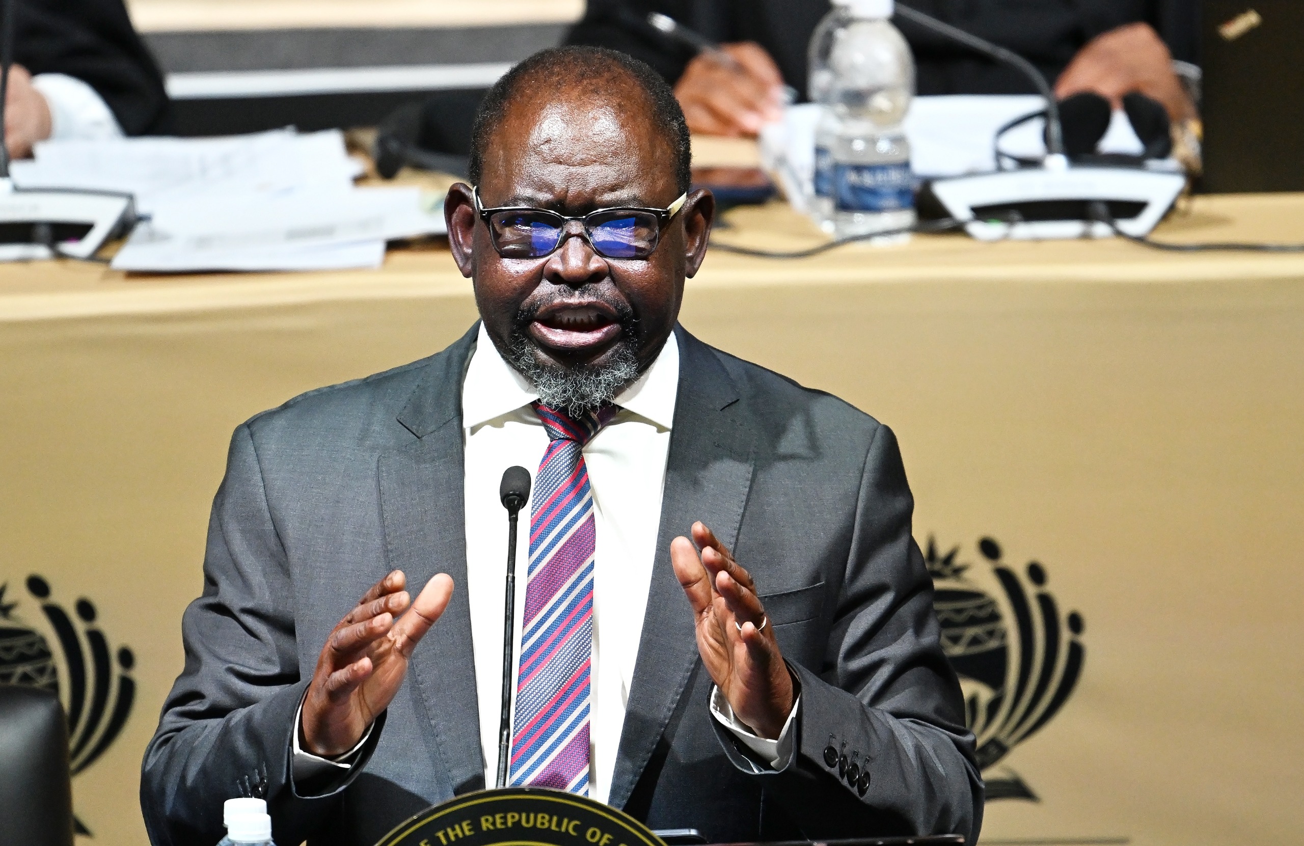 Finance Minister says SA is still fixing the fiscal damage done under ...