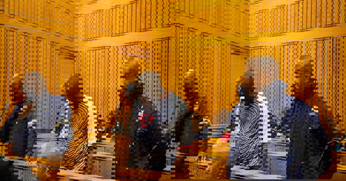 Tshwane municipal officials accused of stealing transformer make brief ...