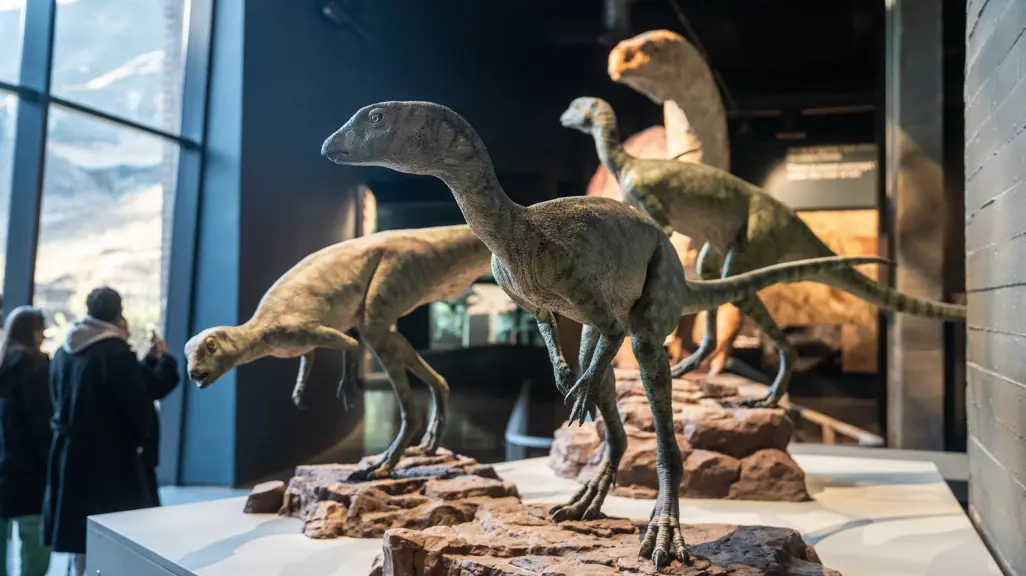 [GALLERY] Walking among giants: Kgodumodumo Dinosaur Interpretation ...