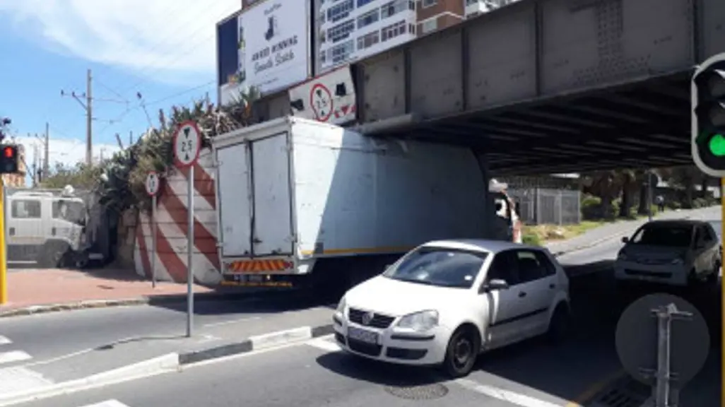 WATCH: Num! Num! Num! Muizenberg's Bridget devours bus for late-night snack