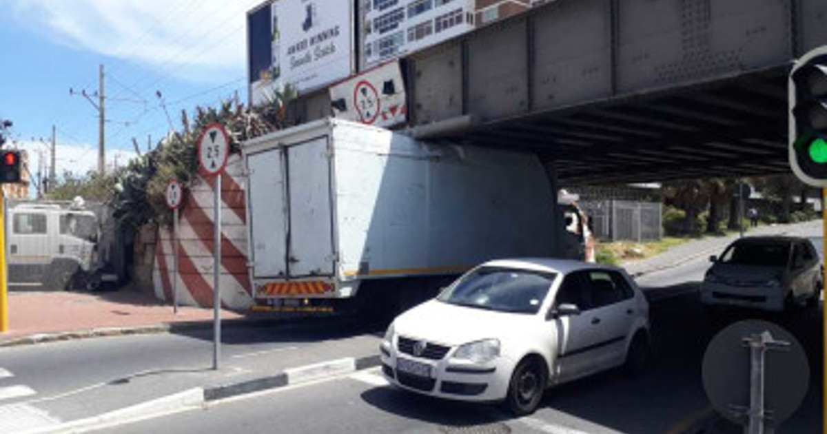 WATCH: Num! Num! Num! Muizenberg's Bridget devours bus for late-night snack