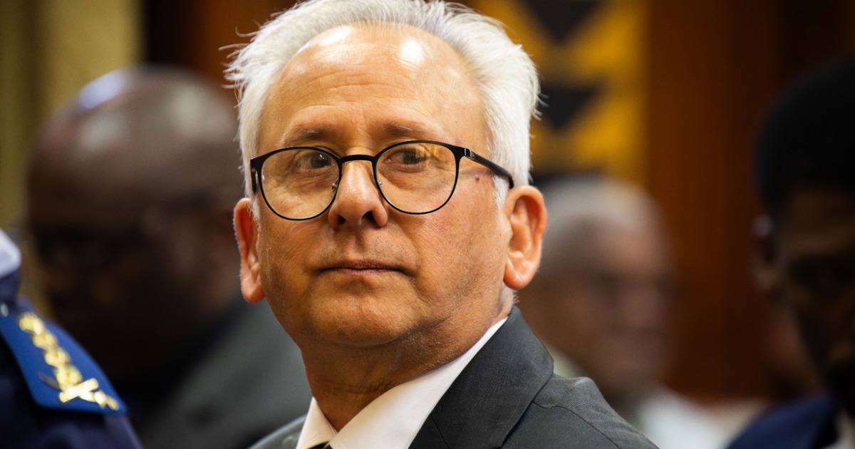 Acting Police Minister Cachalia says officers can't fight crime with ...