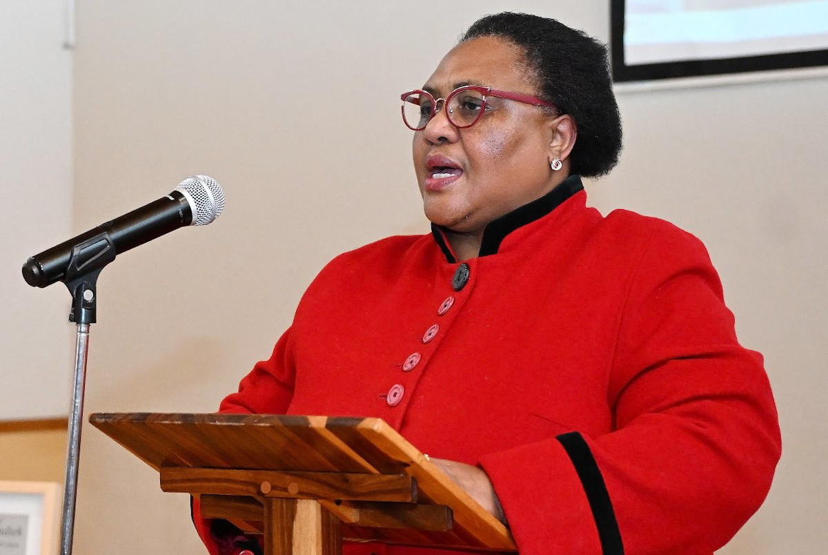 Didiza yet to set date for snap Parly debate on SA's troop deployment ...