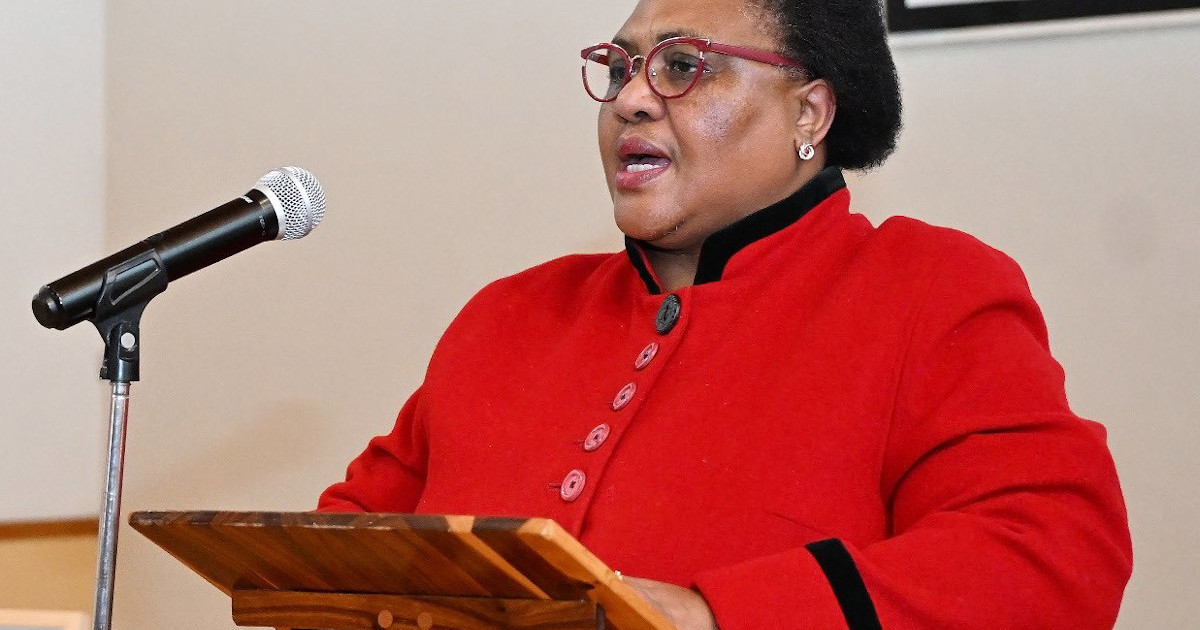 Didiza yet to set date for snap Parly debate on SA's troop deployment ...