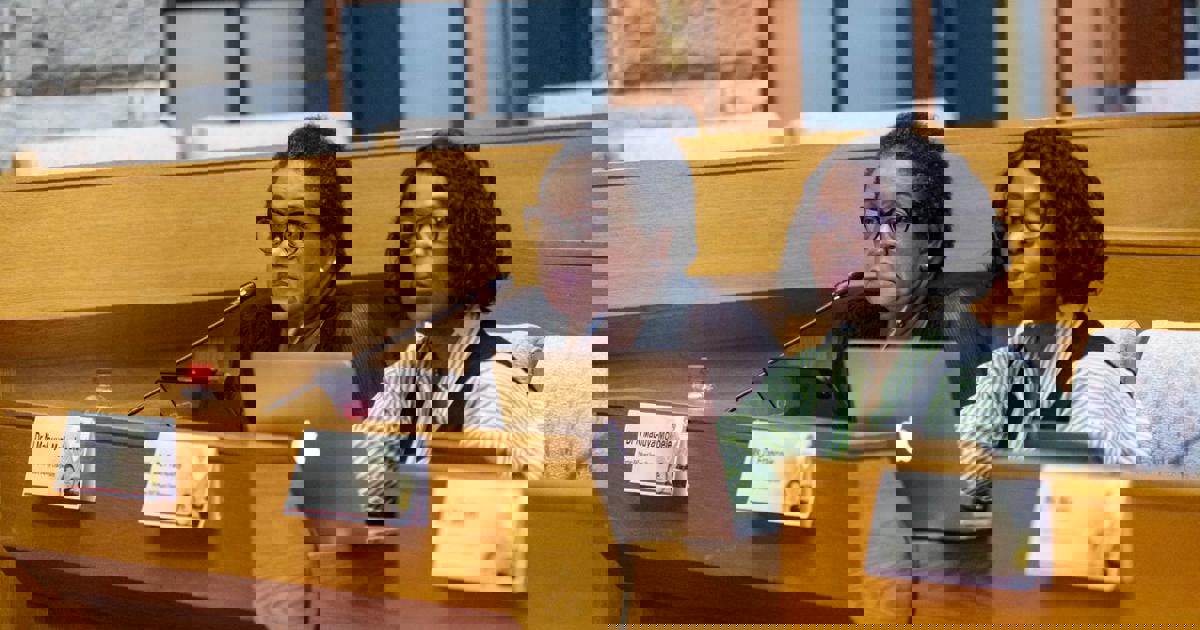 RAF riddled with 'collusion' and 'malfeasance', former board tells ...