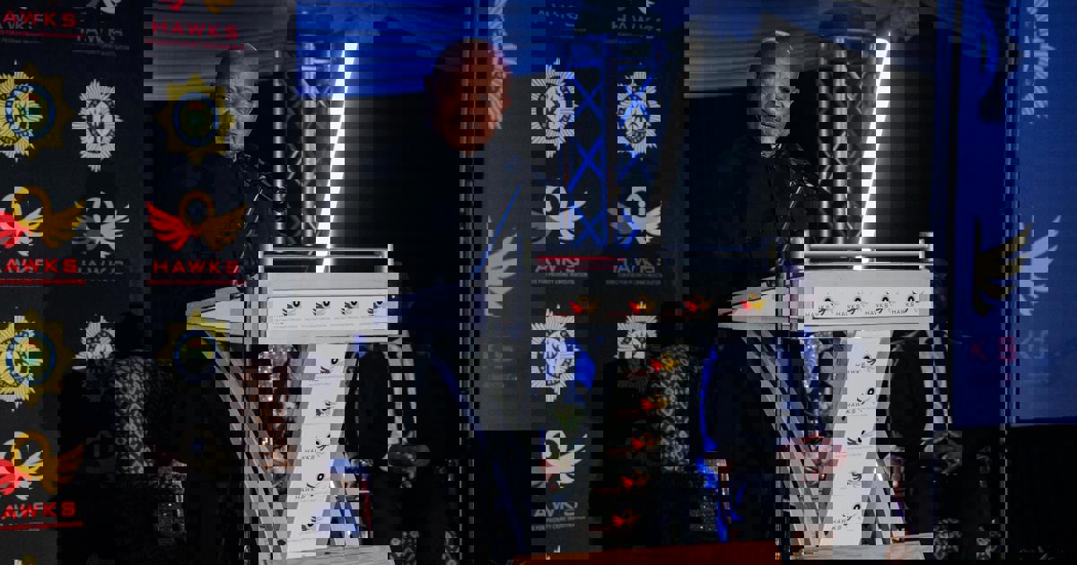 Olorato Mongale: Suspect who handed himself over 'did well' - Mchunu