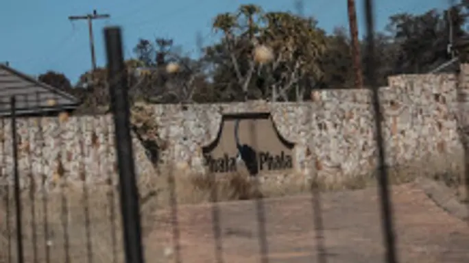 Finance Minister quizzed on SARS investigation into Phala Phala buffalo ...