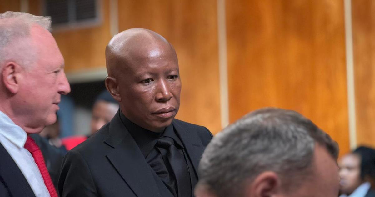 Magistrate reviews evidence in Julius Malema firearms case