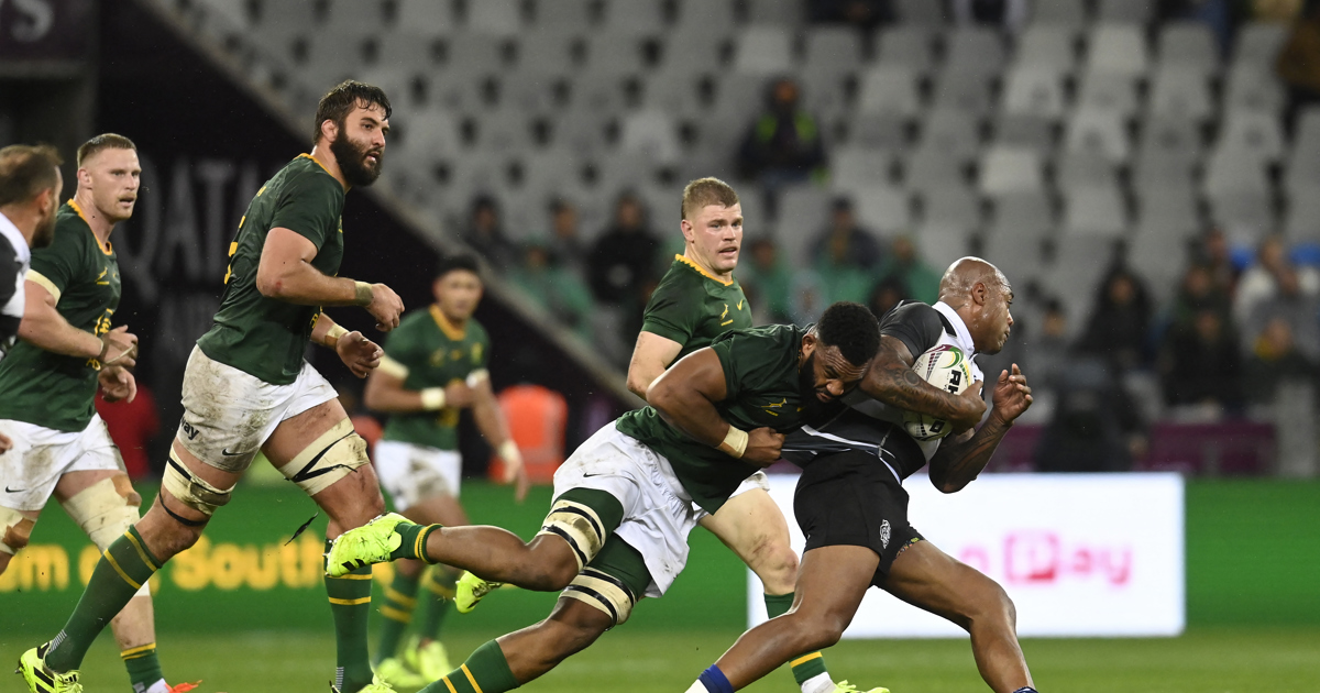 Springbok coach Erasmus introduces 'hybrid player' Esterhuizen