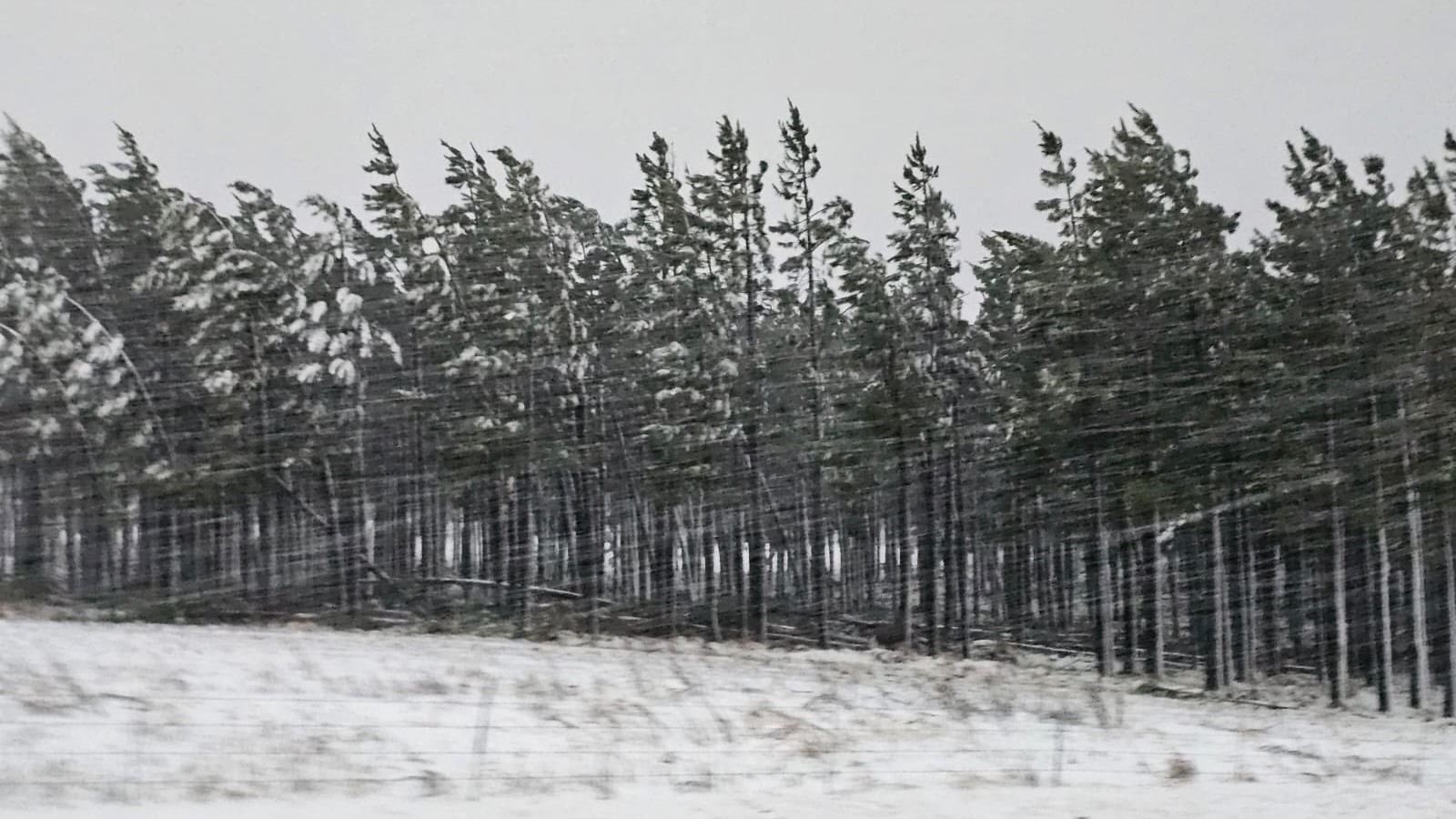 N2 highway closed in southern parts of KZN due to snowfall