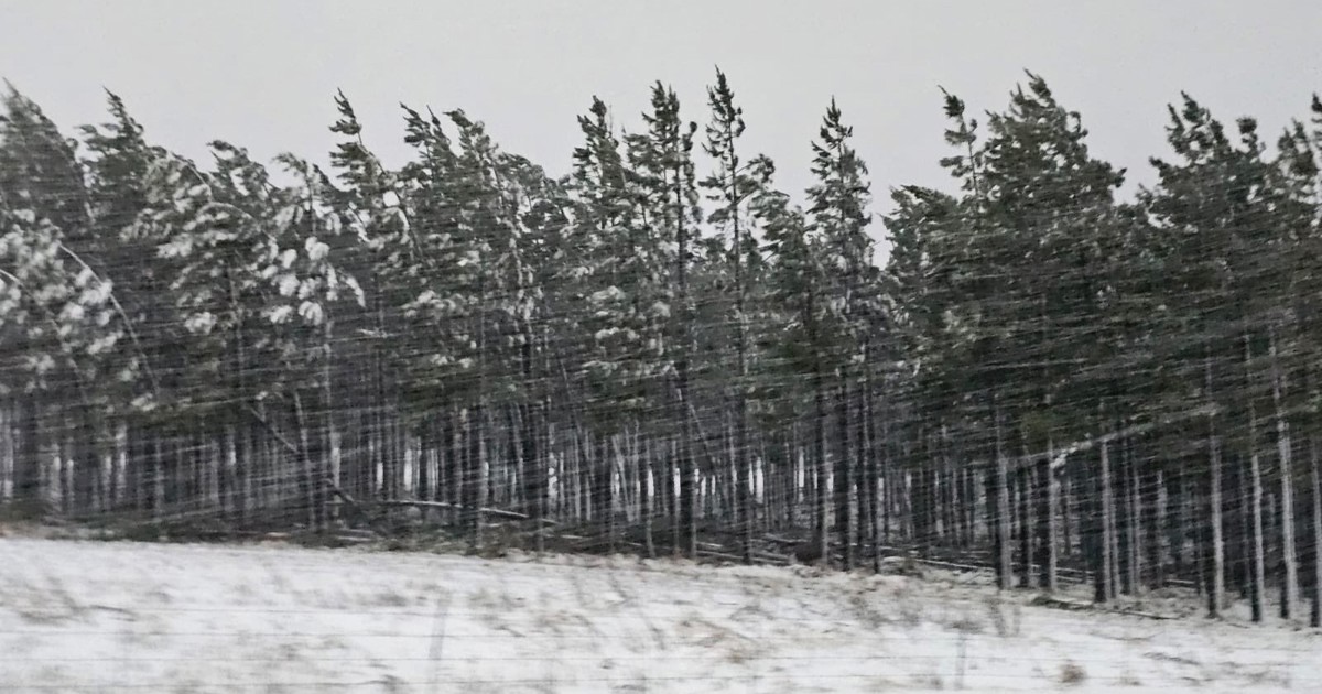 KZN disaster management teams working to 'minimise disruptions' caused ...