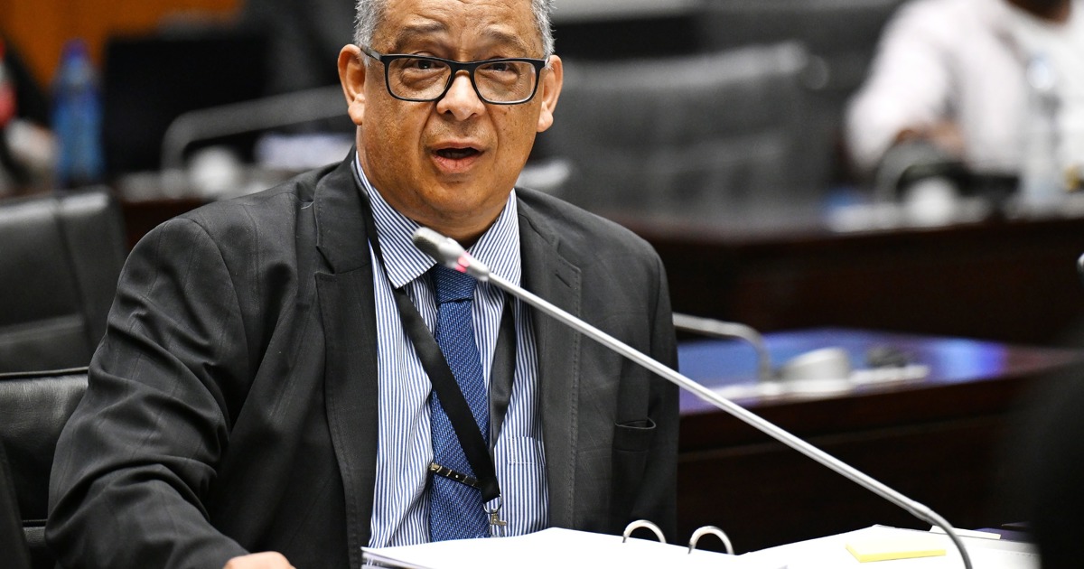 Former IPID head Robert McBride to face Ad Hoc Committee